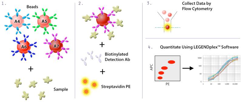 Présentation - Plateau de cytométrie en flux et de tri cellulaire ...